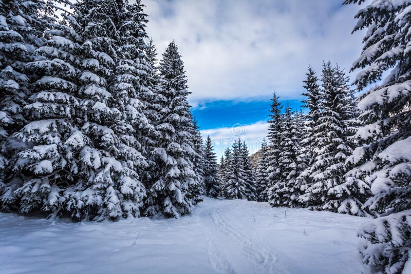 Winter Full of Snow Mountain Path Stock Image - Image of freeze ...