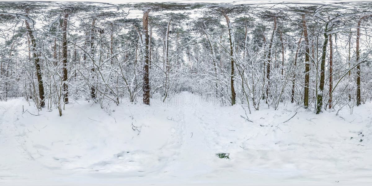 Hdri Magic Forest Stock Photos - Free & Royalty-Free Stock Photos from ...