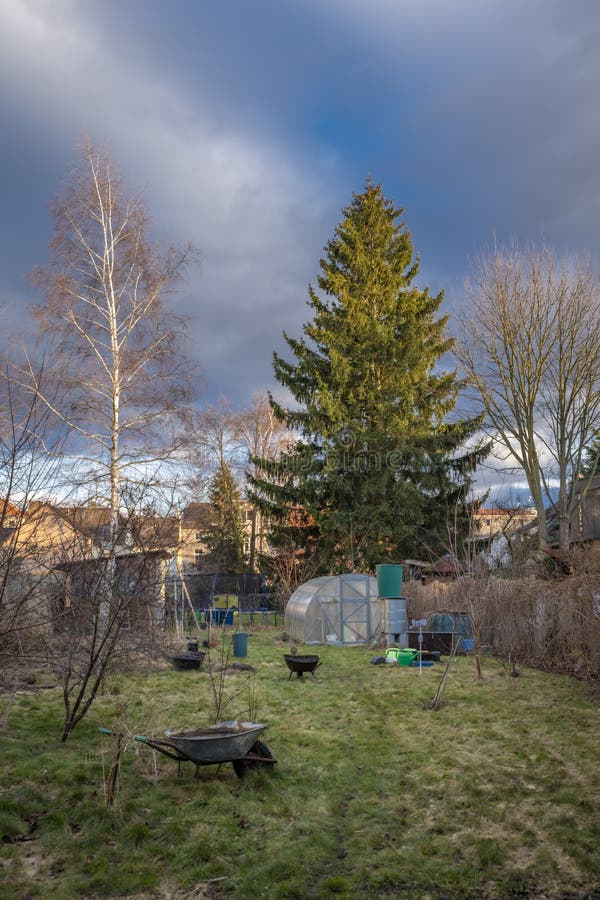 Winter Garden without Snow with Greenhouse and Spruce Tree Stock Image ...