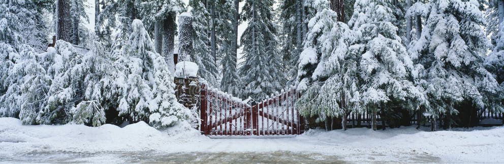 Winter gate stock image. Image of bottom, natural, cypress - 23175275