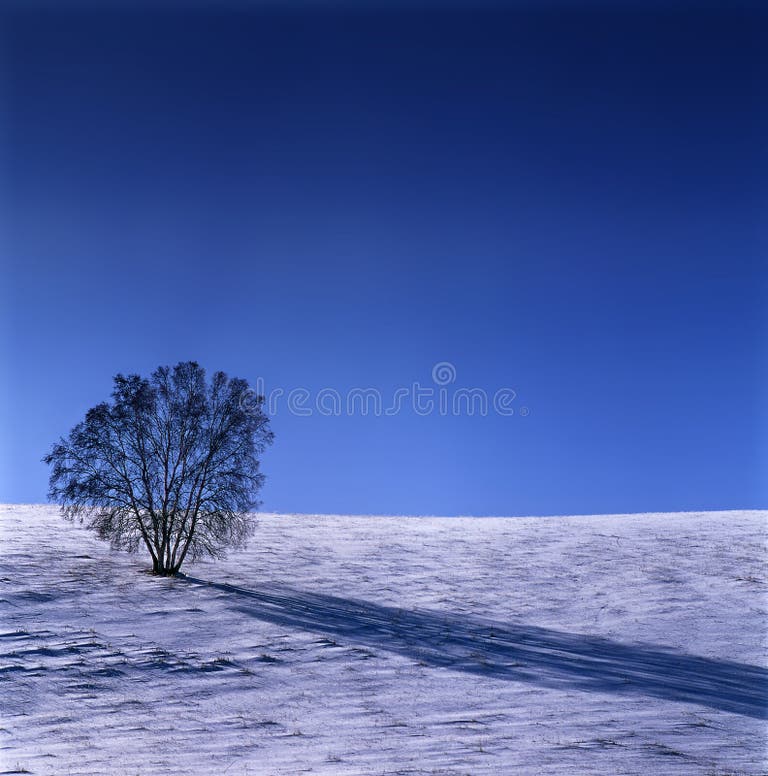 42,536 February Scenery Stock Photos - Free & Royalty-Free Stock Photos ...