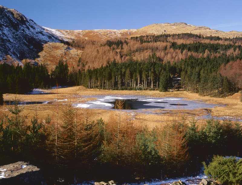 Winter, Harrop Tarn, Cumbria Stock Photo - Image of lake, english: 23094876