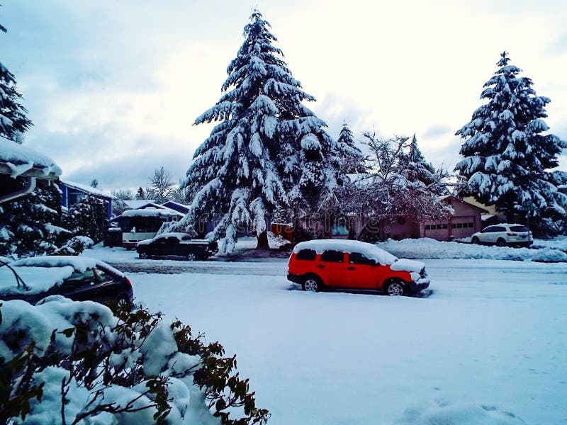 Winter has arrived stock photo. Image of cold, leaves - 102644228