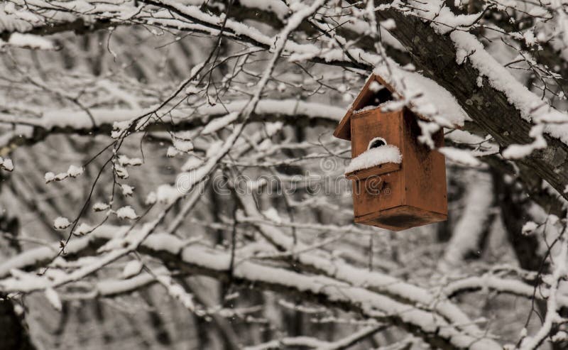 Winter Has Come Picture. Image: 93946898