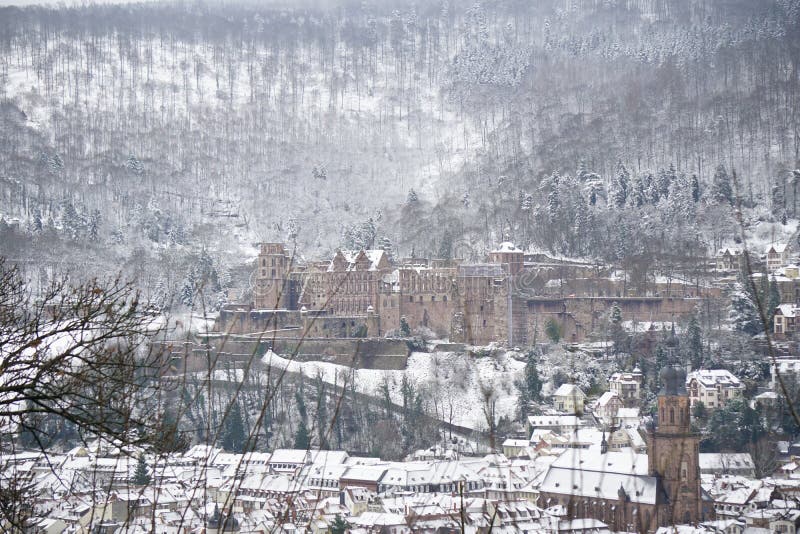Winter in heidelberg stock photo. Image of tree, neckar - 48501322