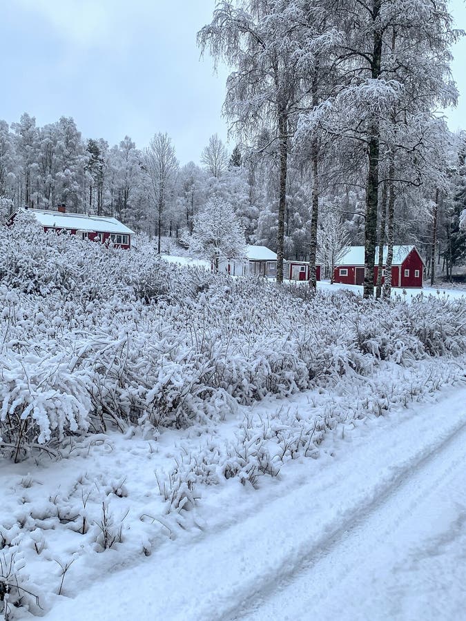 Winter with High Snow in the Solitude of Sweden Stock Photo - Image of ...