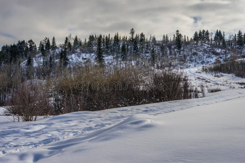 A Winter Hike through Edworthy Park Stock Photo - Image of park ...