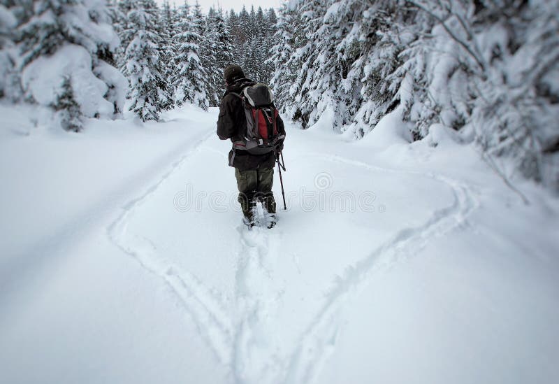 Winter hike editorial photo. Image of snowy, hike, path - 139766056