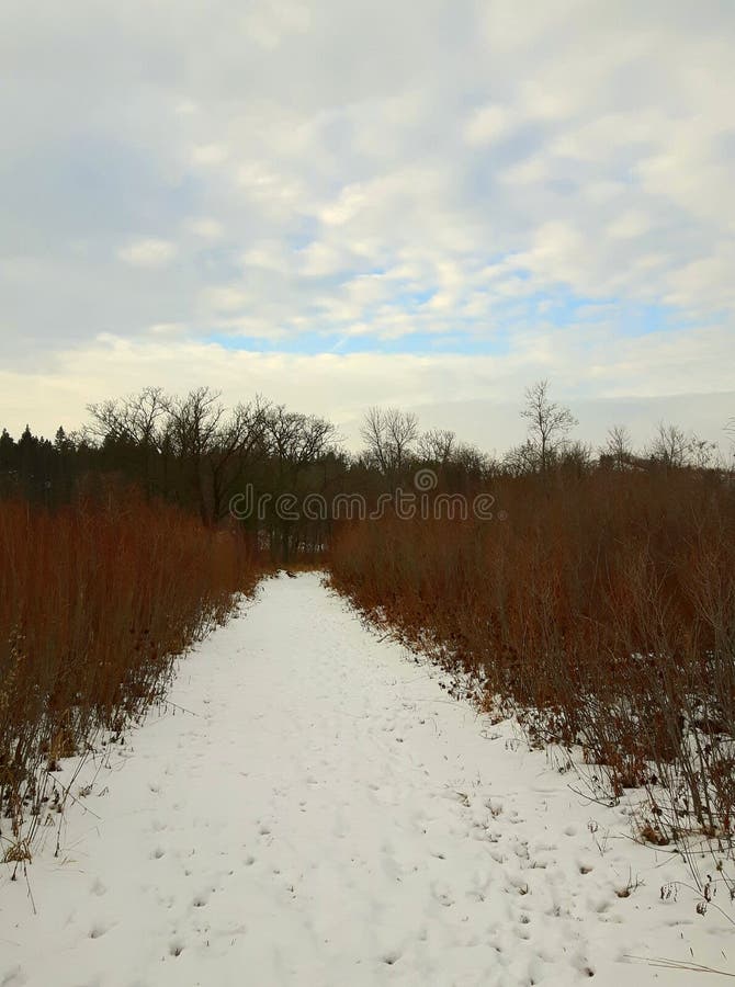 Winter Hikes stock photo. Image of path, snowy, winter - 218459014