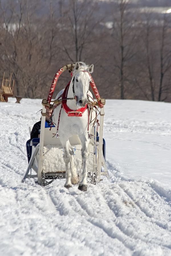 Sendai December Illumination Festival Stock Image - Image of beauty ...