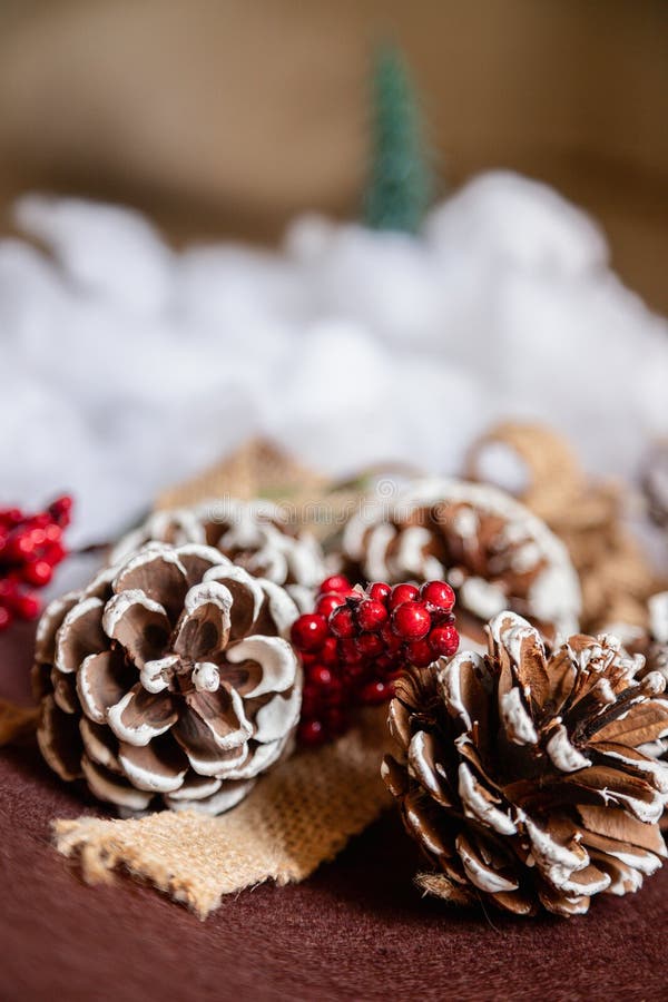 42,309 Noel Holiday Winter Snow Background Stock Photos - Free ...