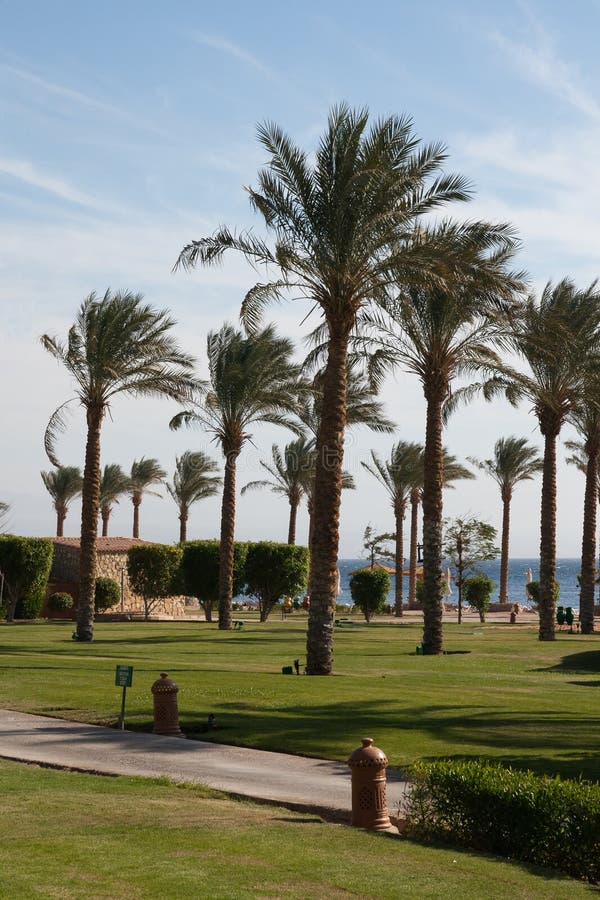 Egyptian shanty town stock photo. Image of rocks, rock - 21962586