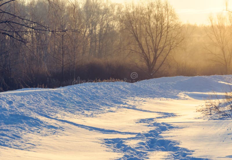 Winter Human Footprints in the Snow at Sunrise Stock Photo - Image of ...