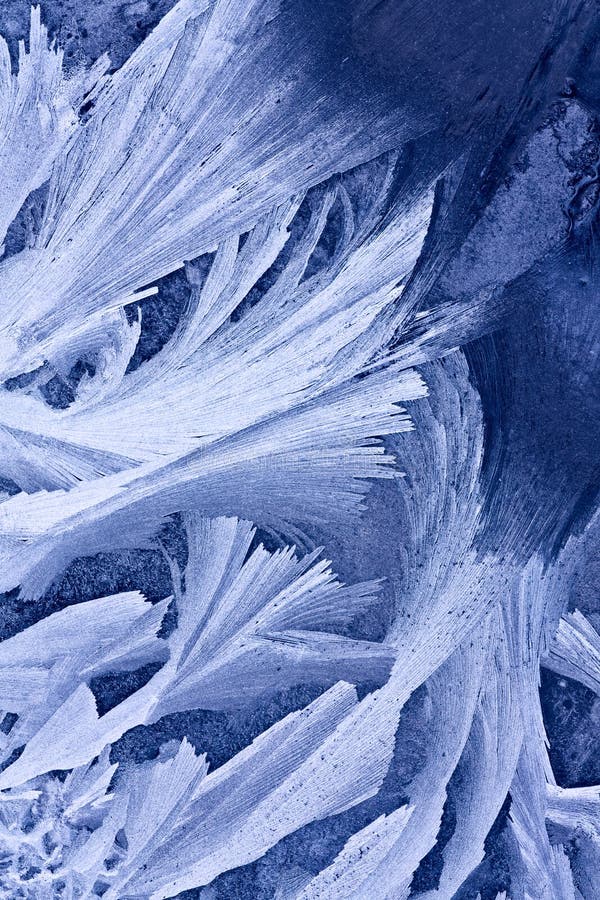 Winter ice pattern stock photo. Image of background, white - 12763308