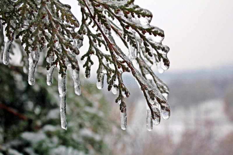 Winter ice storm stock photo. Image of freezing, thaw - 29239772