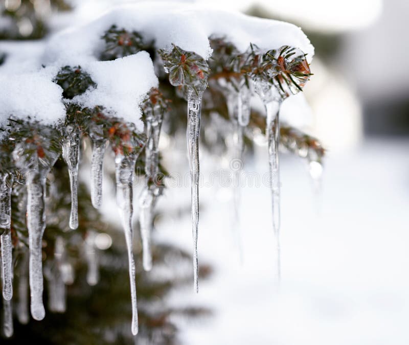 Winter Ice Storm Freezing Temperatures Stock Photo - Image of freezing ...