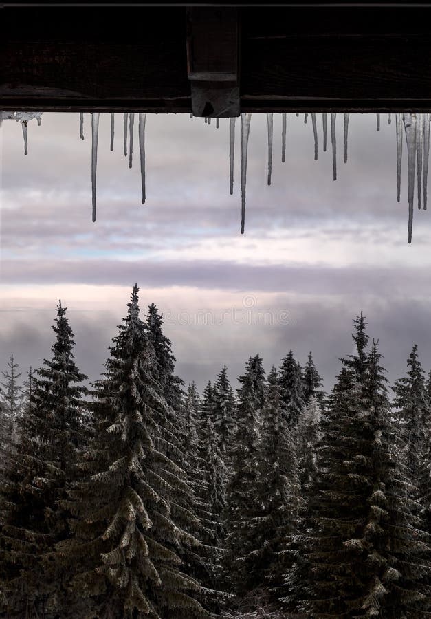Icicles on Window stock photo. Image of frozen, view - 109615704