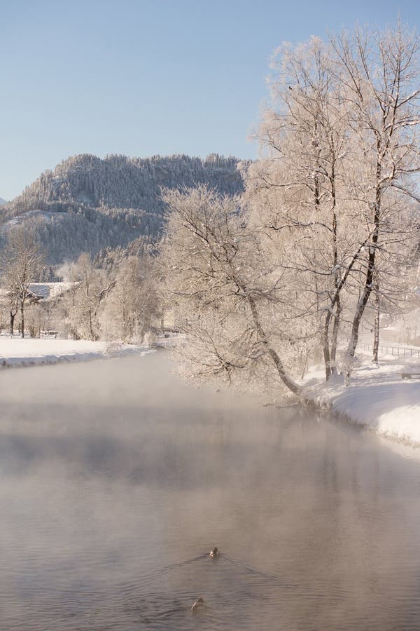 Winter idyll stock photo. Image of alps, plant, snow - 50246762