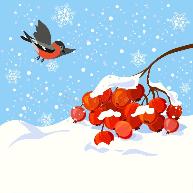 Winter Illustration with a Branch of Rowan and Bird Stock Vector ...