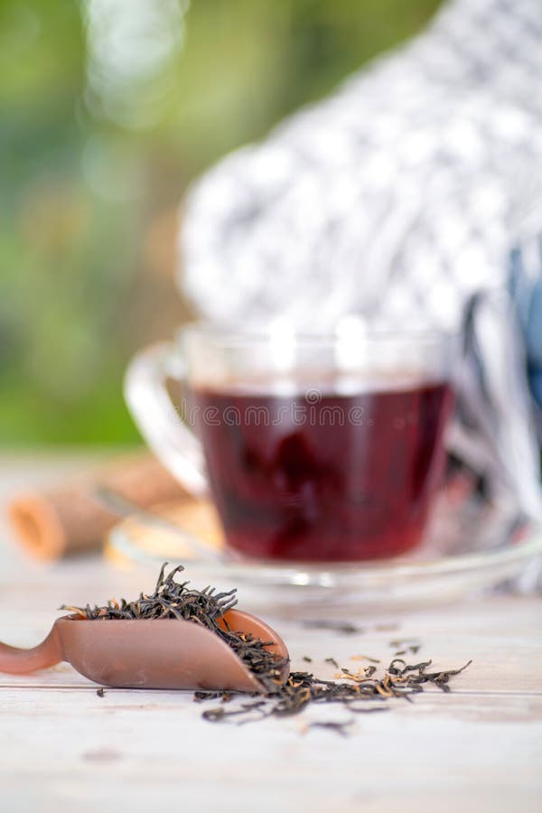 Winter Indoor Black Tea Drinks Stock Photo - Image of winter, drinking ...