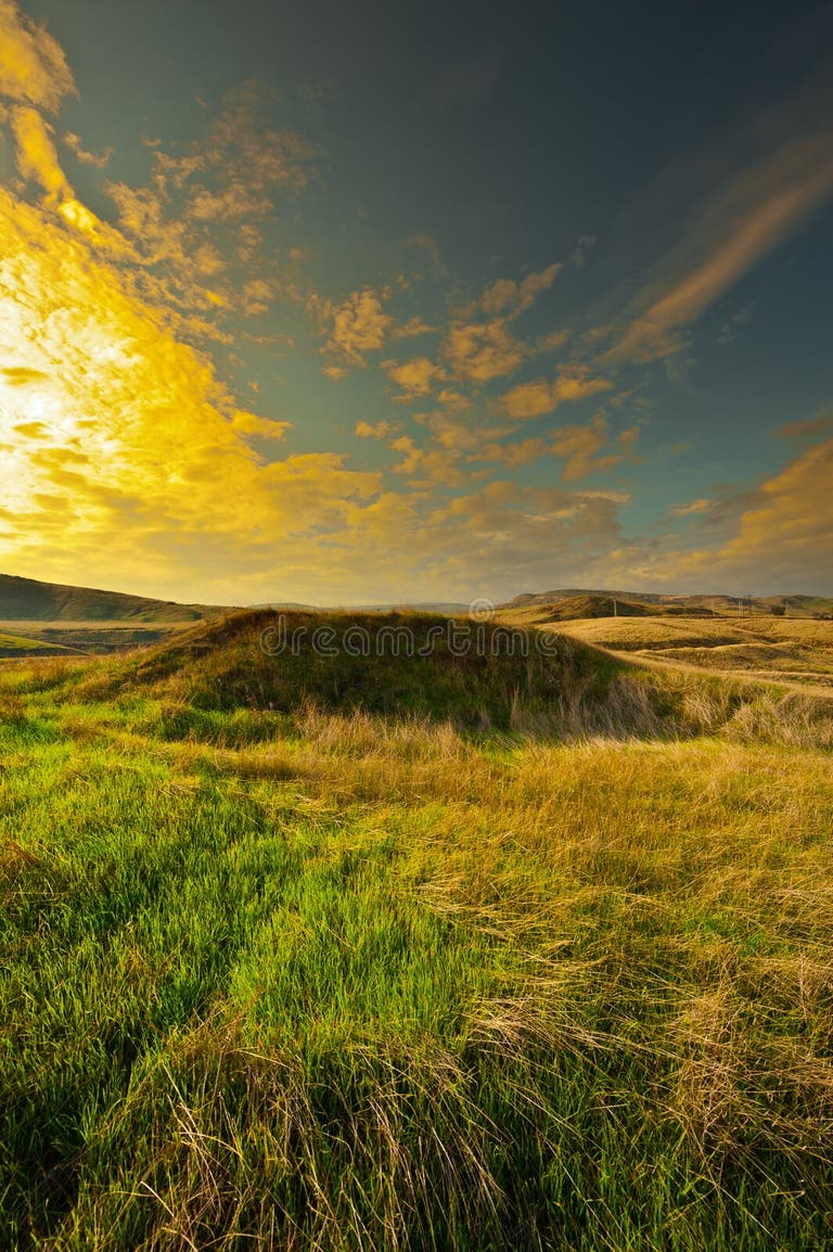 30,782 Israel Grass Stock Photos - Free & Royalty-Free Stock Photos ...