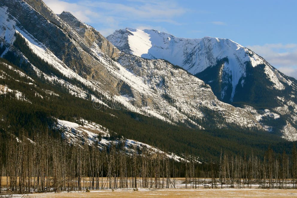 Winter in jasper, canada stock photo. Image of hill, cloud - 11306512