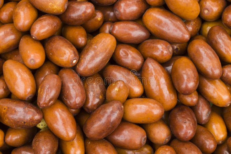 Winter Jujube stock photo. Image of close, objects, chinese - 16917990