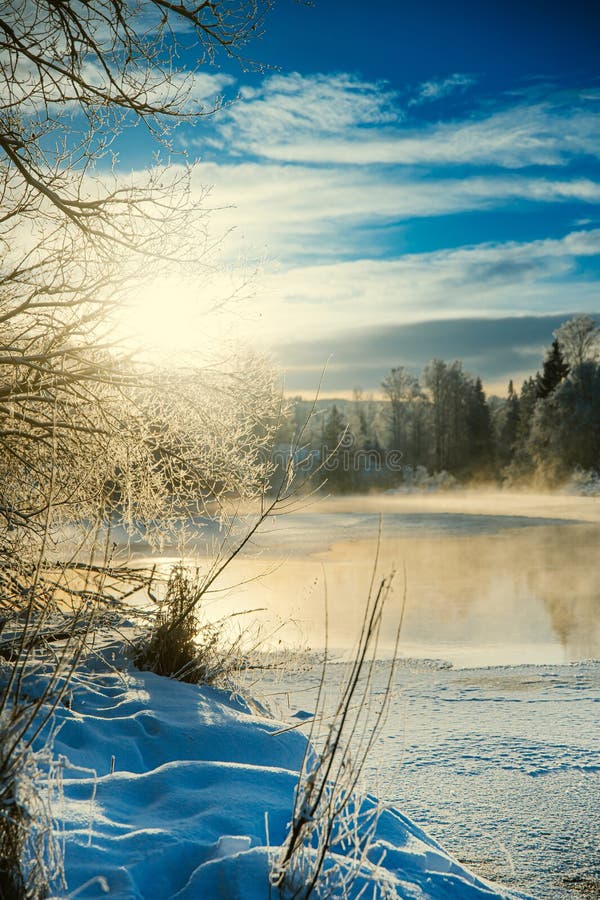 Winter Lake at Dawn with Icy Mist Stock Photo - Image of still, frosty ...