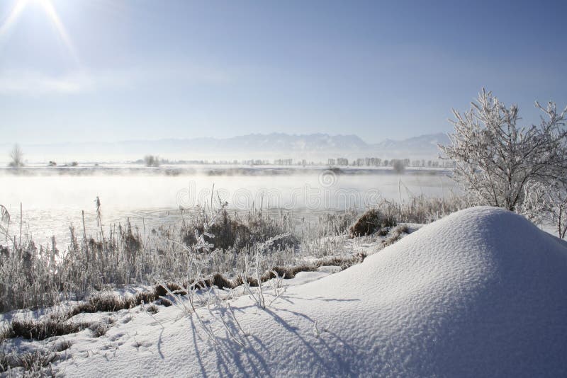Winter landscape stock image. Image of sunny, white, branch - 10363977