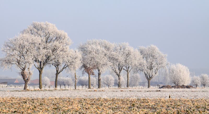 Winter landscape stock image. Image of outdoors, horizontal - 11152235
