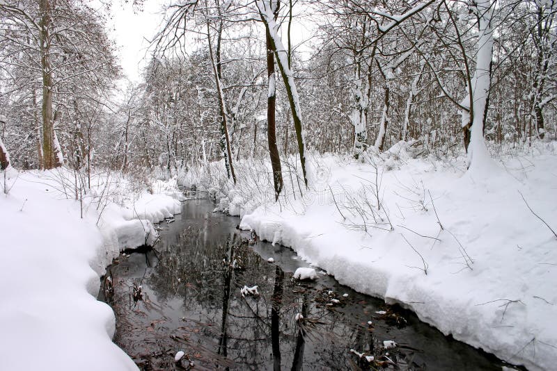 Winter tree texture stock image. Image of background - 18461041