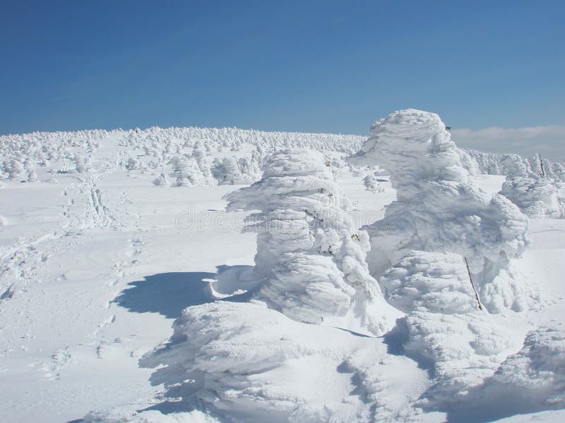 Quiet Winter Snowy Landscape Stock Photo - Image of coldish, drift ...