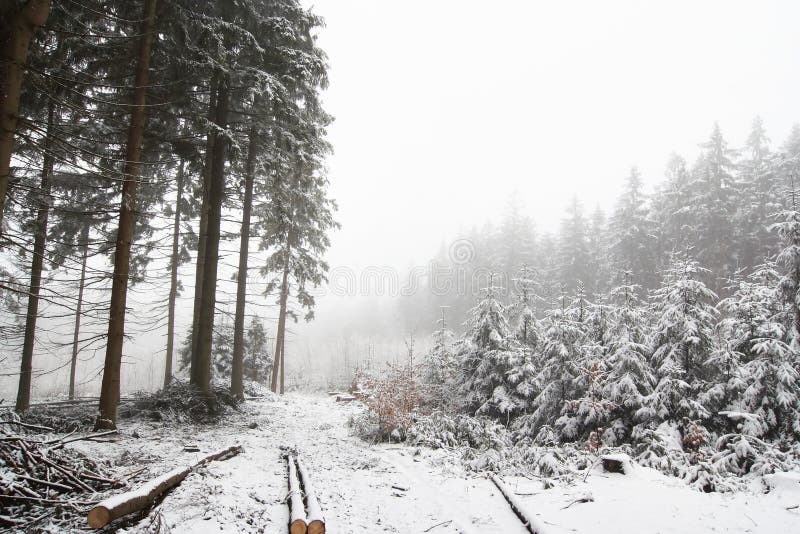 Winter panorama stock image. Image of cold, january, view - 12591253