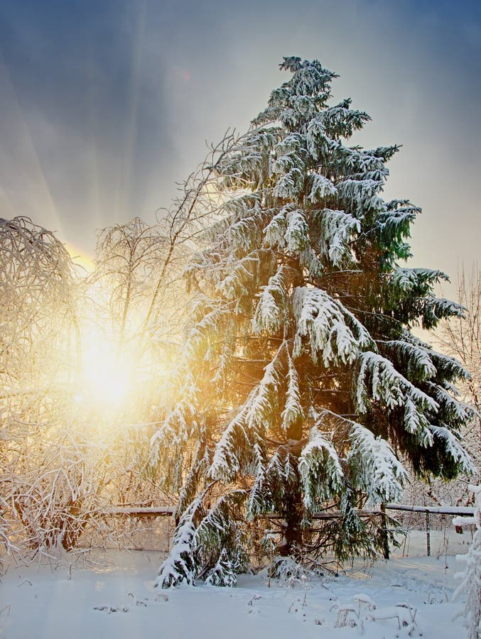 Winter landscape stock image. Image of nature, cover - 20949501