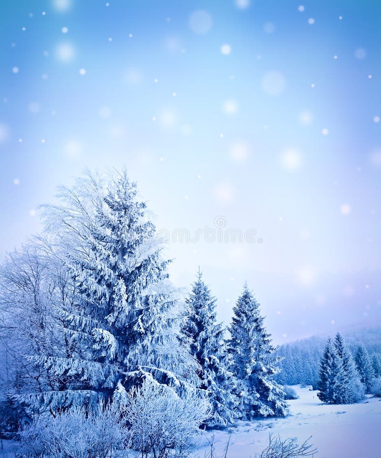 Winter landscape stock image. Image of holiday, nature - 21524859