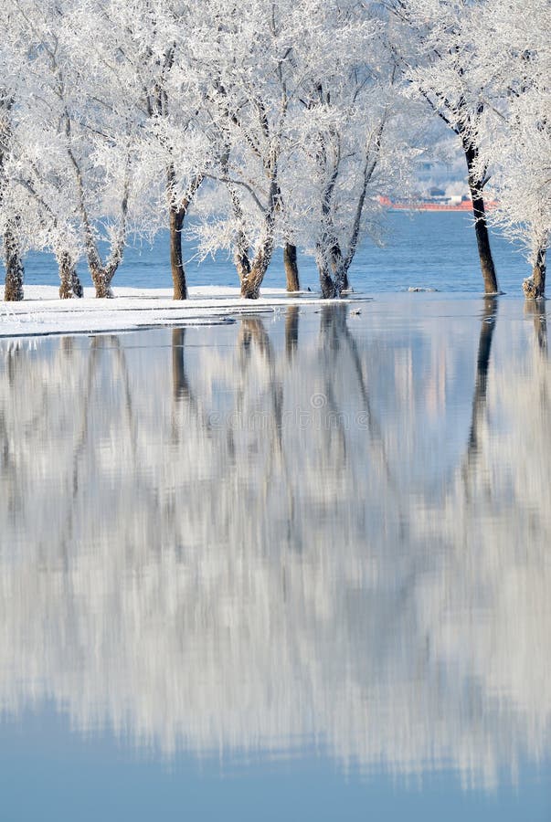 Winter Landscape with Reflection in the Water Stock Image - Image of ...