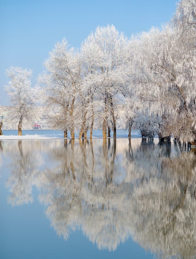 Winter Landscape with Reflection in the Water Stock Image - Image of ...