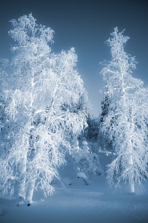 Winter landscape stock image. Image of outdoor, sunshine - 26288453