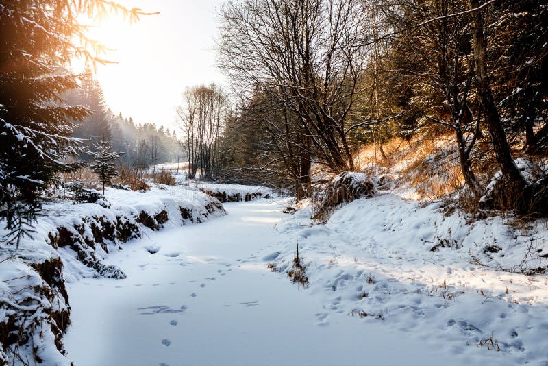 Winter landscape stock image. Image of snowscape, frozen - 27283263
