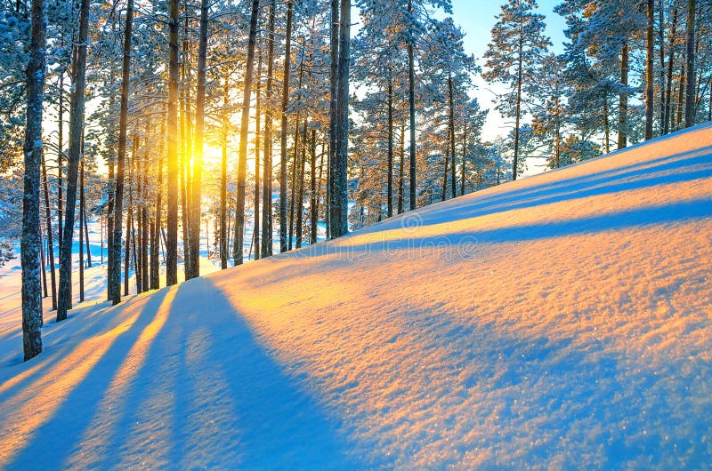 Sunset with long shadows. stock image. Image of snow - 17713853