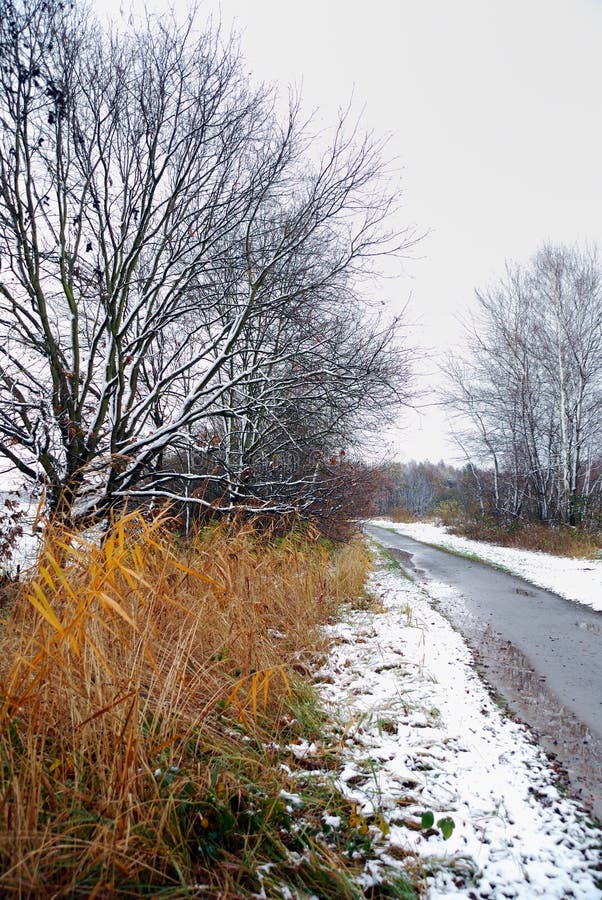 Winter landscape stock image. Image of quiet, cold, natural - 7354193