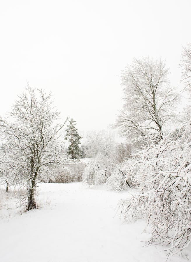 Night Mountain Winter Landscape Stock Photo - Image of astronomy ...