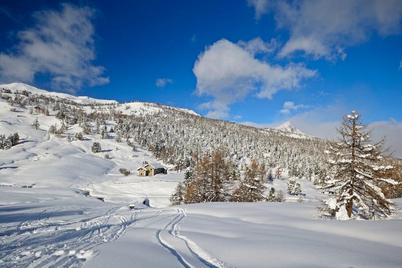 Winter Landscape in the Alps Stock Image - Image of path, panoramic ...