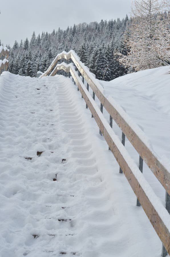 Winter Landscape Background with Snow Covered Trees, Copy Space Stock ...