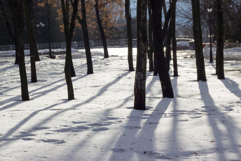 Winter landscape backlit stock image. Image of landscape - 82536541