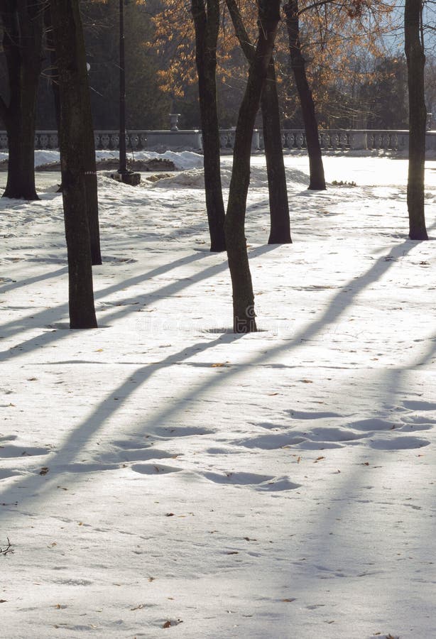 Winter landscape backlit stock photo. Image of nature - 82544892