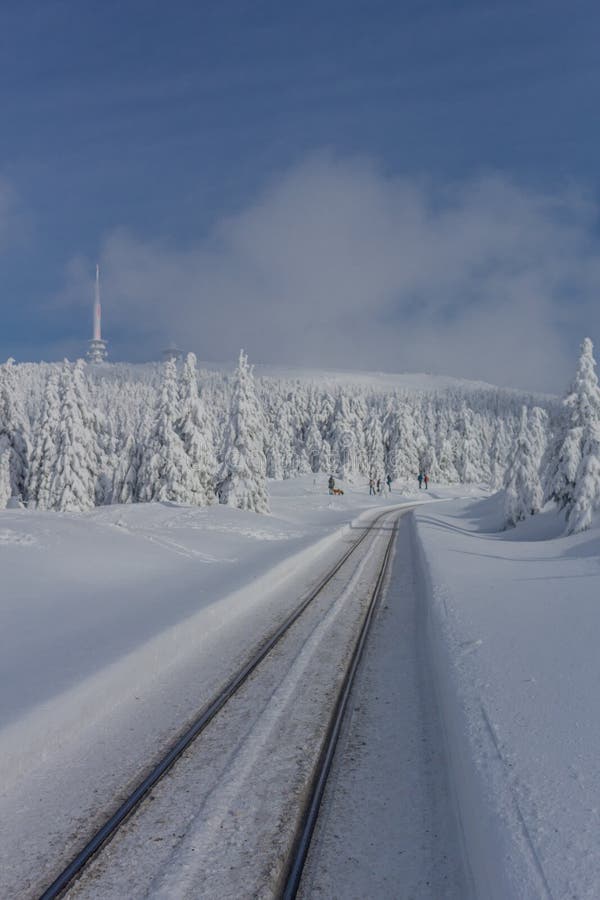 On the Way in the Winter Landscape through the Beautiful Harz Stock ...