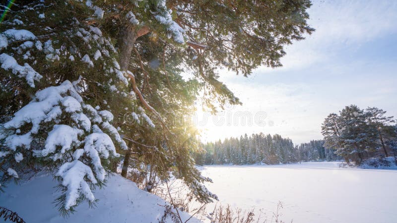 Winter Landscape with Beautiful Snowfall, Time Lapse, Camera Movement ...