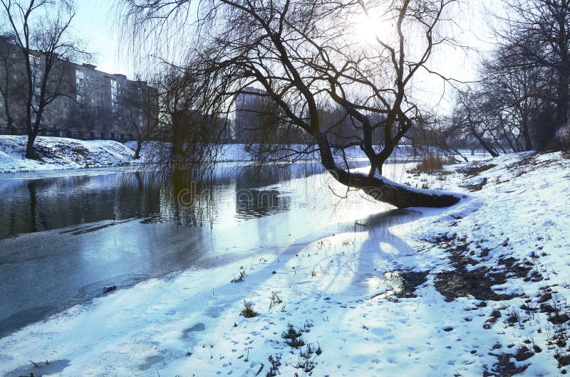 Winter Landscape with a Big Tree by the River Stock Image - Image of ...