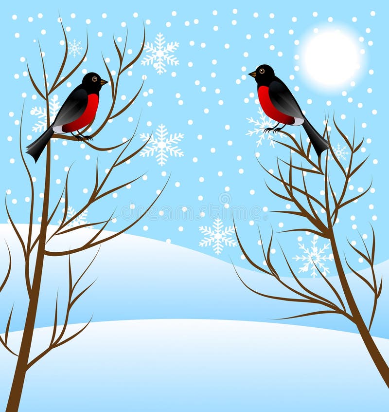 Winter Landscape with Birds Bullfinch Stock Vector - Illustration of ...
